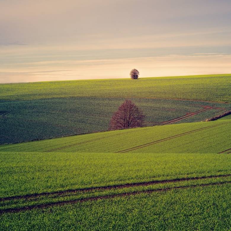 Прозорі продажі землі як уникнути шахрайства та маніпуляцій Insider